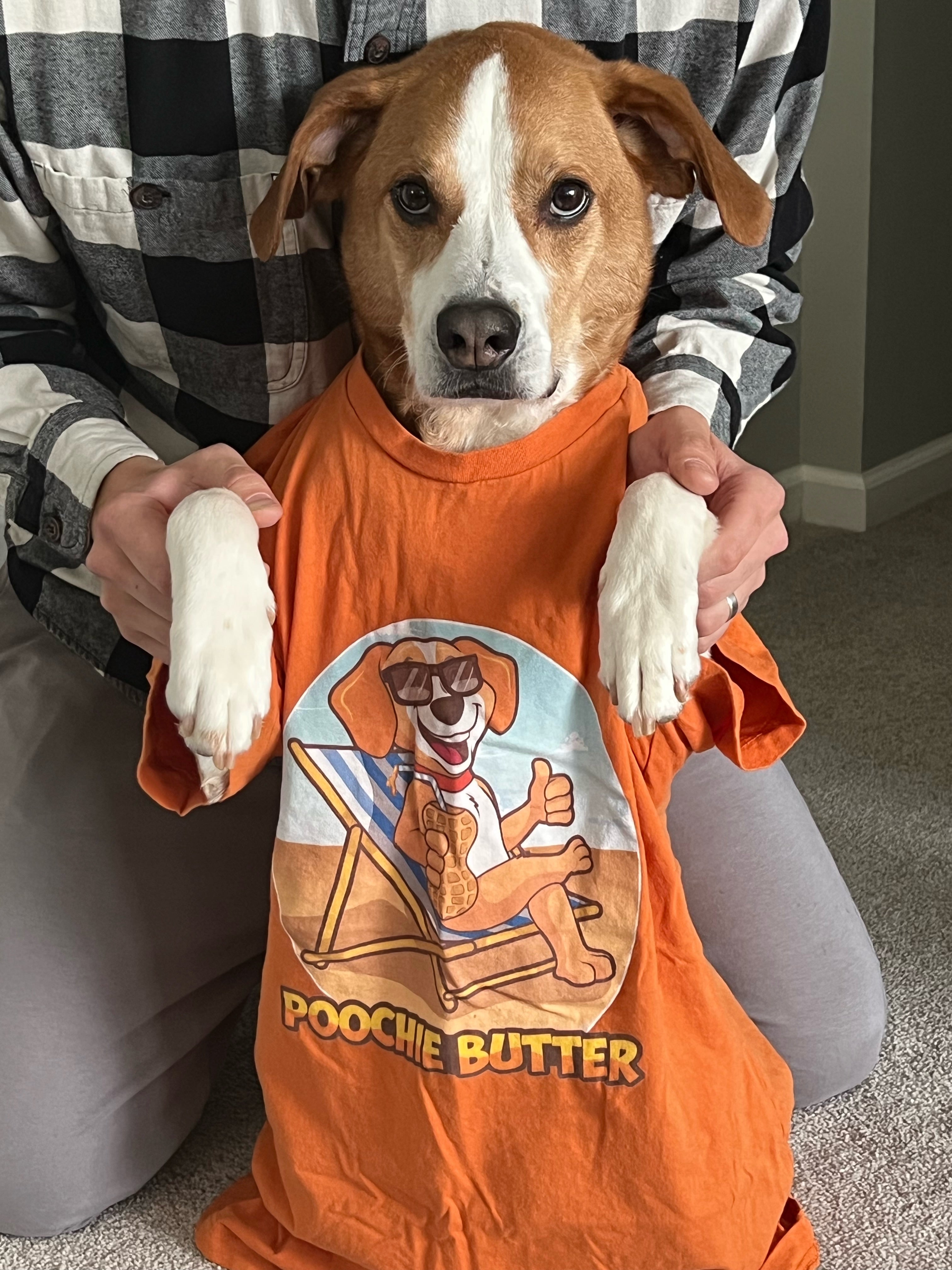 Shop | Peanut Butter for Dogs | Poochie Butter